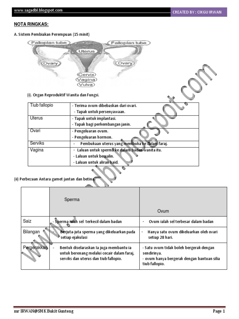 NOTA RINGKAS Bab 4 - Pembiakan | PDF