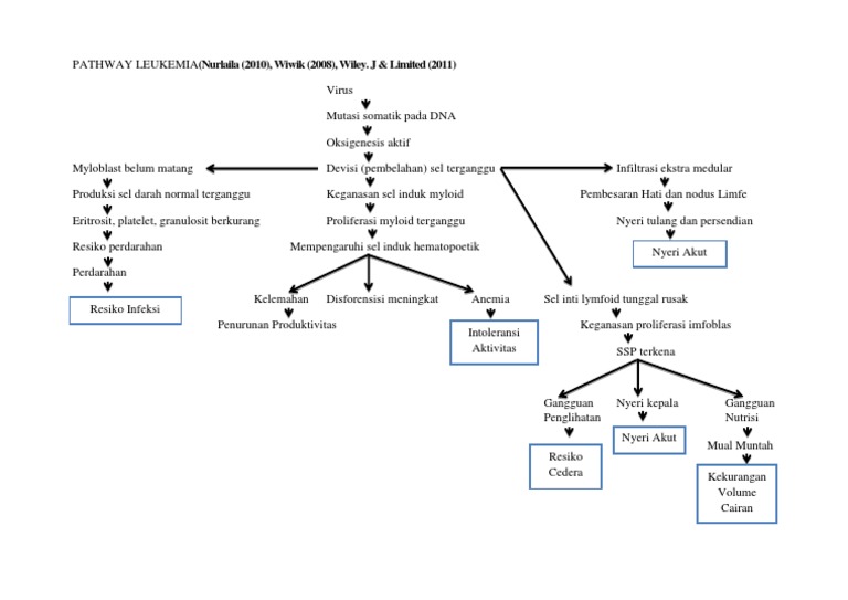 Pathway Leukemia | PDF