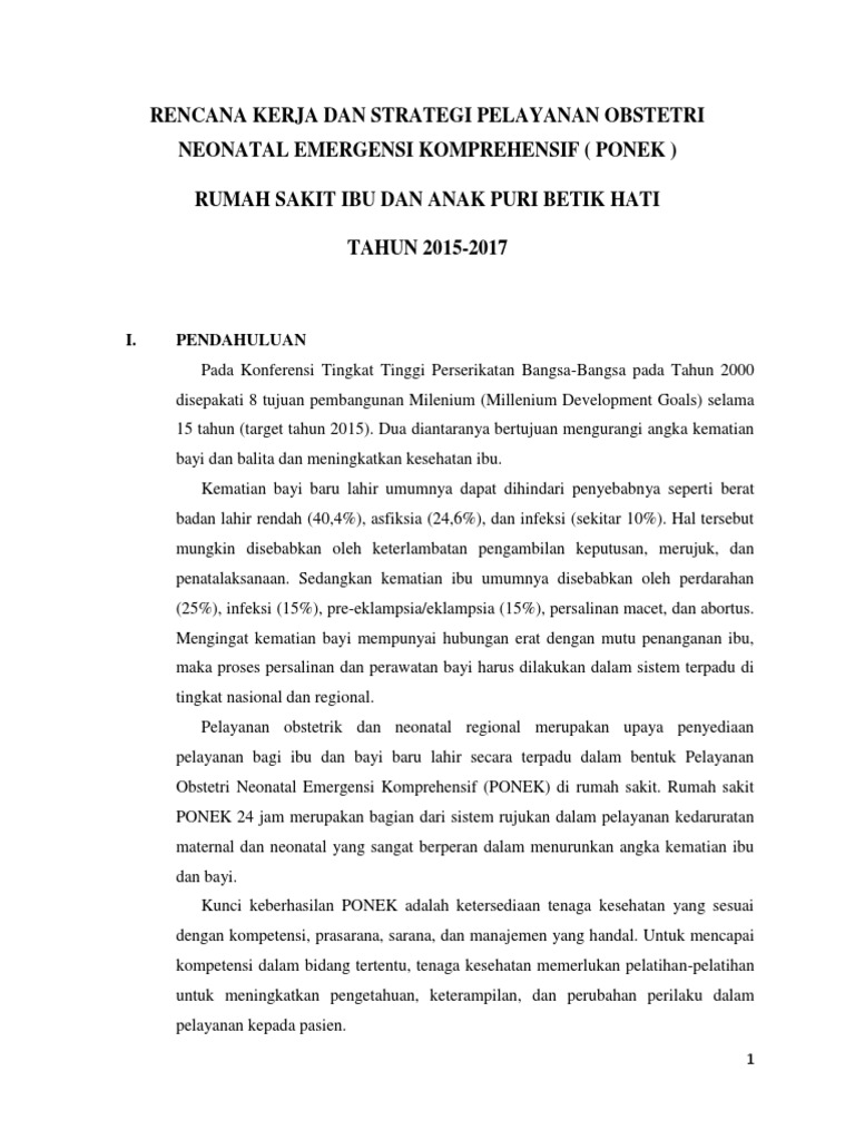 Program Kerja Ponek | PDF