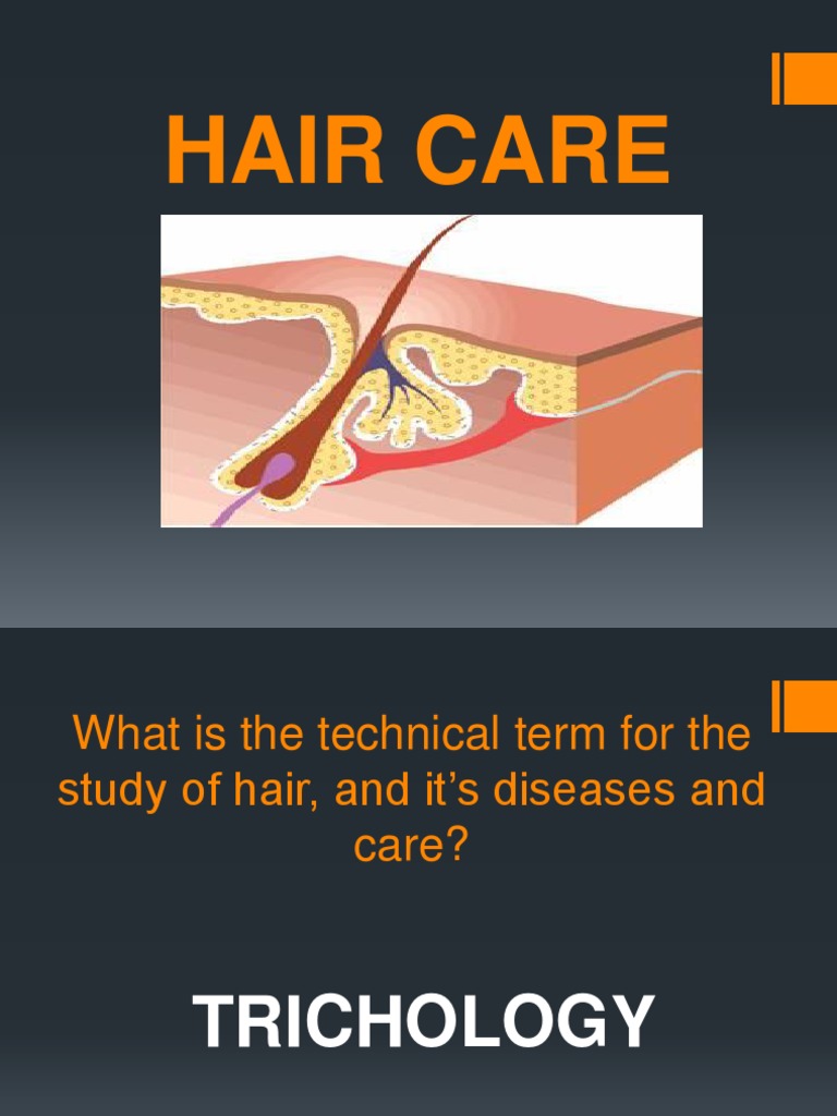 Hair Care | PDF | Hair | Skin