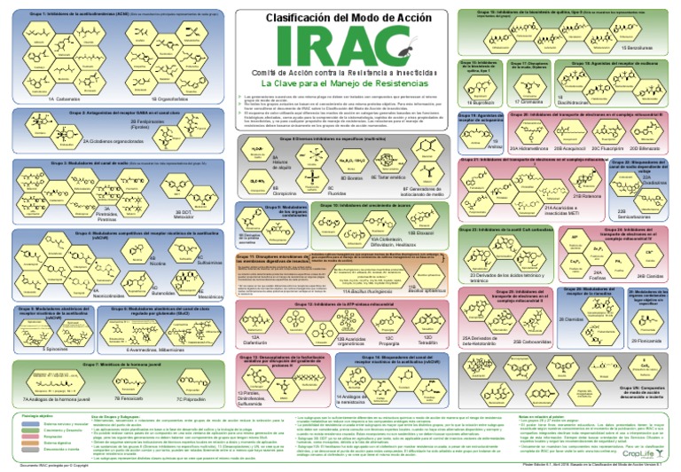Spanish Moa Structure Poster Ed6.1 13sept17 | PDF | Pesticida ...