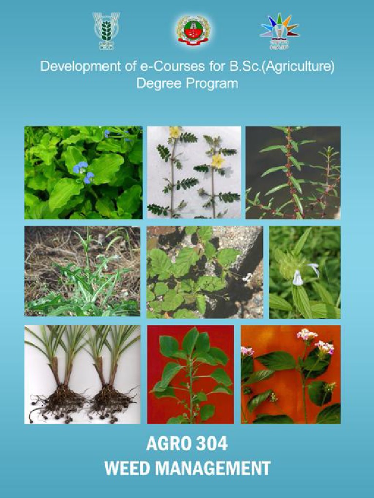 Weed Management PDF | PDF | Weed | Seed