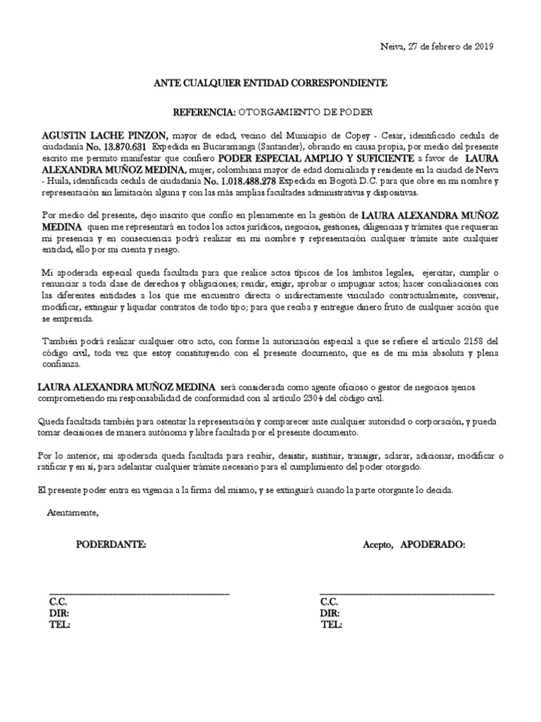 Poder Especial Amplio y Suficienta | PDF | Ciudadanía | Información del ...