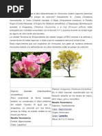 Biomas de Venezuela Mapa | PDF