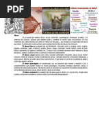 Informe e Interpretación Del HTP EJEMPLO | PDF | Arboles | Temor