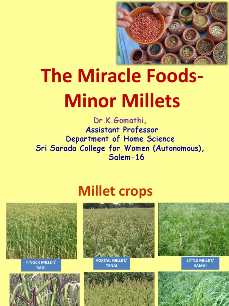 The Miracle Foods-Minor Millets | PDF