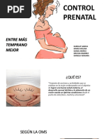 Carnet de Control Prenatal | PDF