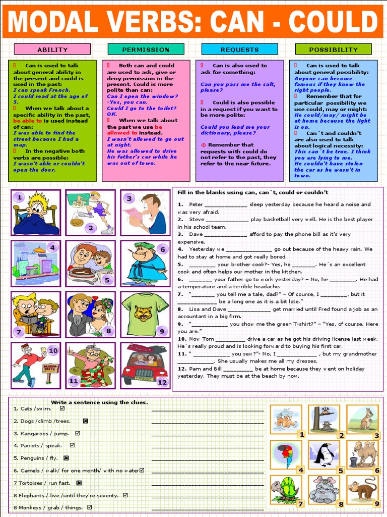 Modal Verbs Can and Could | PDF | Grammar
