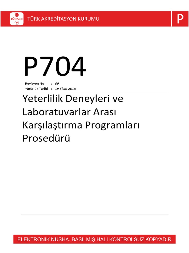 P704 09 0 | PDF