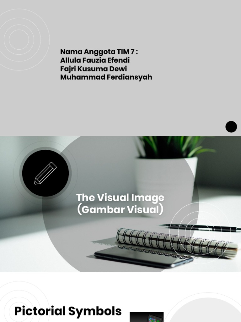 Visual Image | PDF