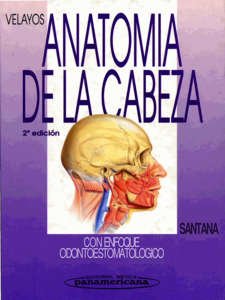 Anatomia de La Cabeza PDF | PDF | Cráneo | Articulación