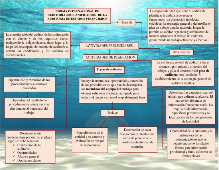 Nia 300 Mapa Conceptual | PDF | Planificación | Auditoría