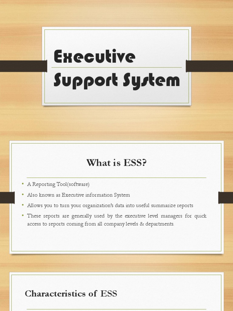 Ess Report | PDF | Computing | Information Technology