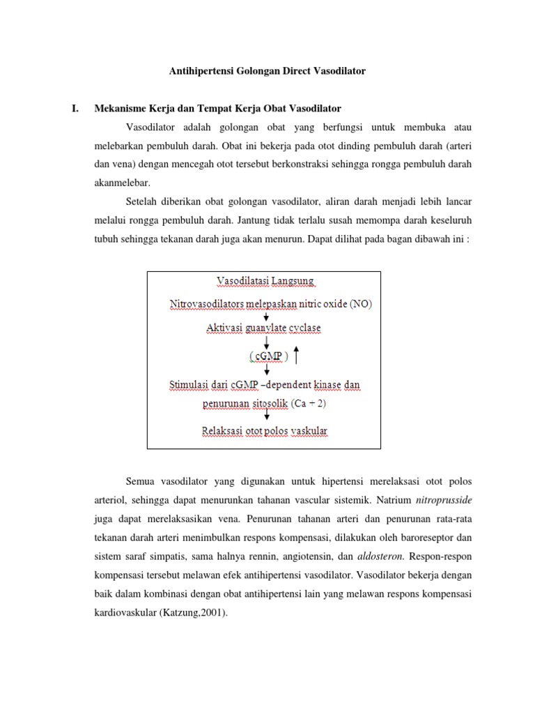 Antihipertensi Golongan Direct Vasodilator | PDF