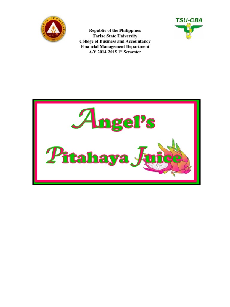 Feasib Feasibility Study 2 | PDF | Sole Proprietorship | Marketing