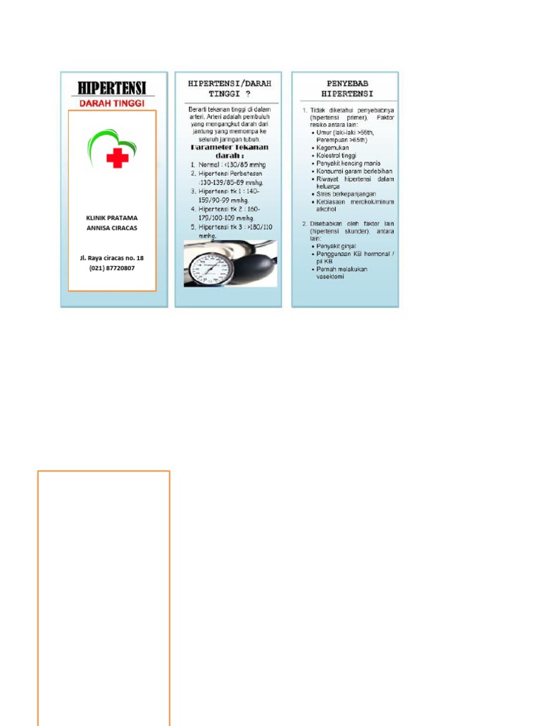 Leaflet DBD | PDF