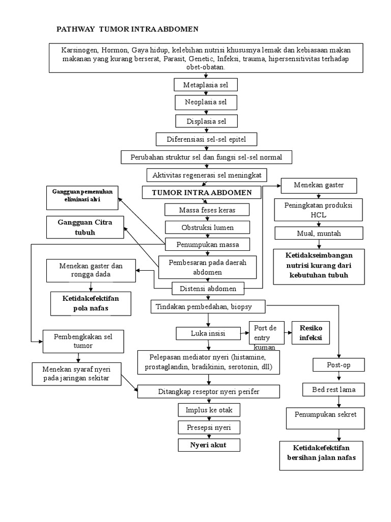 Pathway Tumor Intra Abdomen | PDF