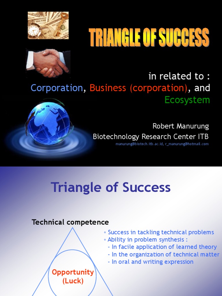 Triangle of Success in Business | PDF | Metacognition | Thought