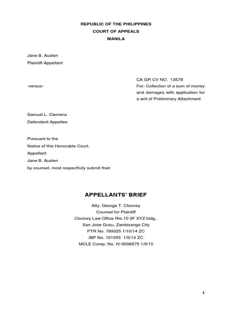 Appellant's Brief for Civil Case 13579 | PDF | Complaint | Writ