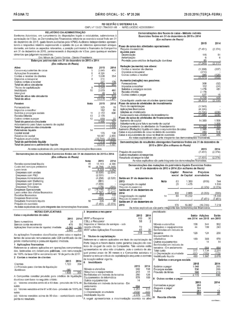 Auditoria KPMG RD Sistemas Gestao S/a | PDF | Negócios (geral) | Business