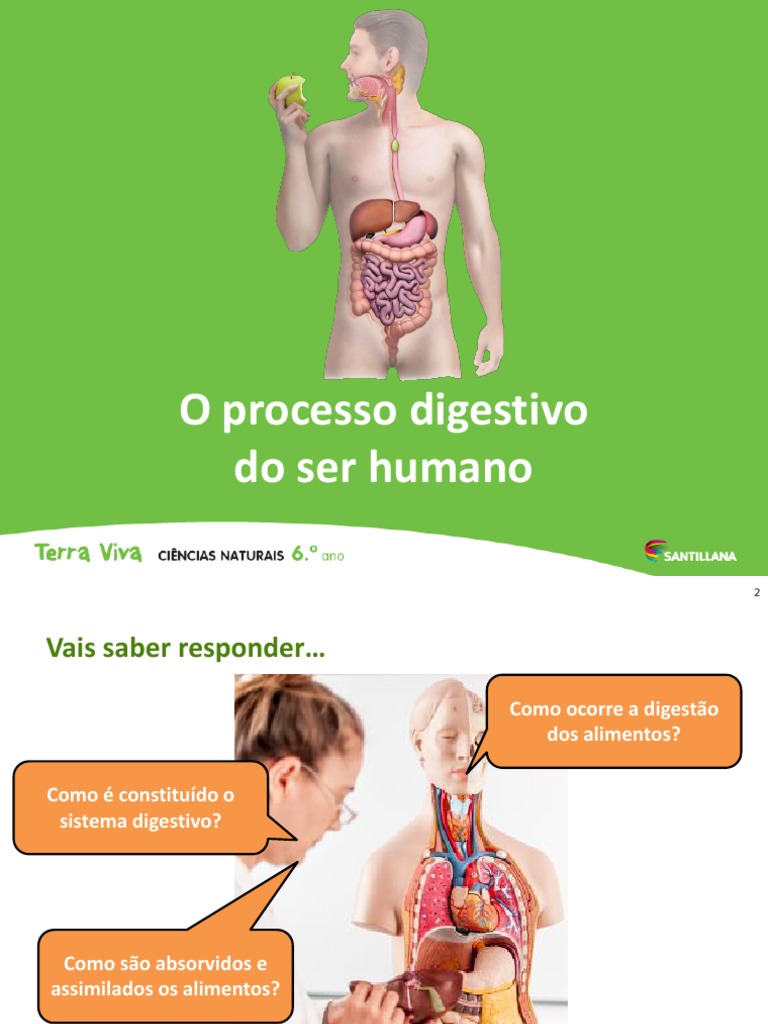 Processo digestivo humano em | PDF | Sistema digestivo humano ...