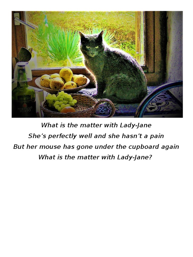 Lady Jane's Missing Mouse | PDF