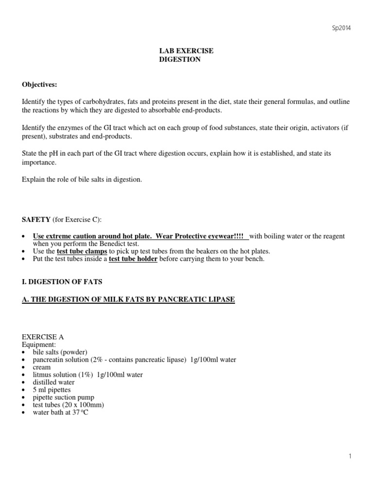 Lab Exercise Digestion | PDF | Digestion | Chemical Substances