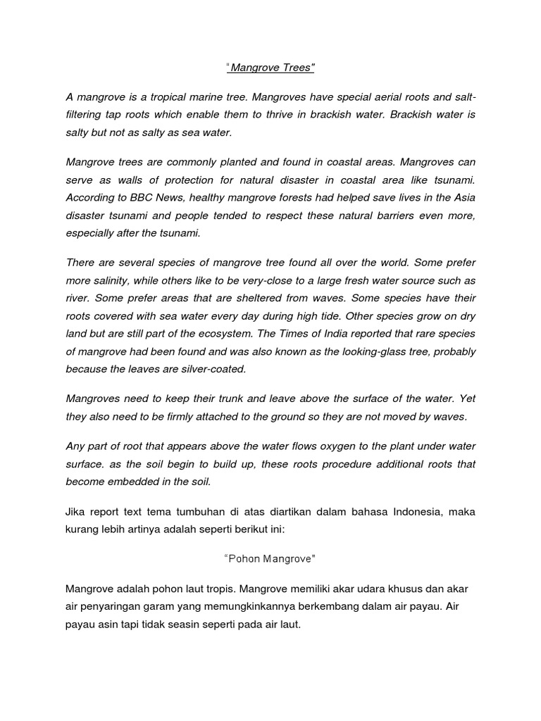 Contoh Teks Report Mangrove Trees | PDF | Mangrove | Trees