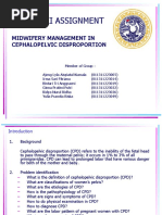 Partograph - Case Scenario | PDF | Childbirth | Public Health