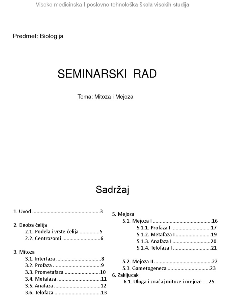 Seminarski Rad | PDF