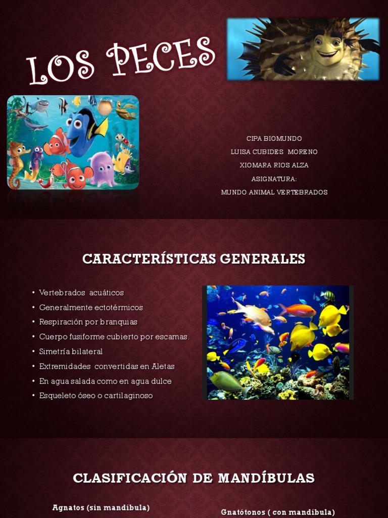 Los Peces | PDF | Vertebrados Acuáticos | Pescado