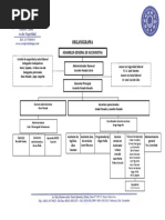 Organigrama Grupo Lala | PDF