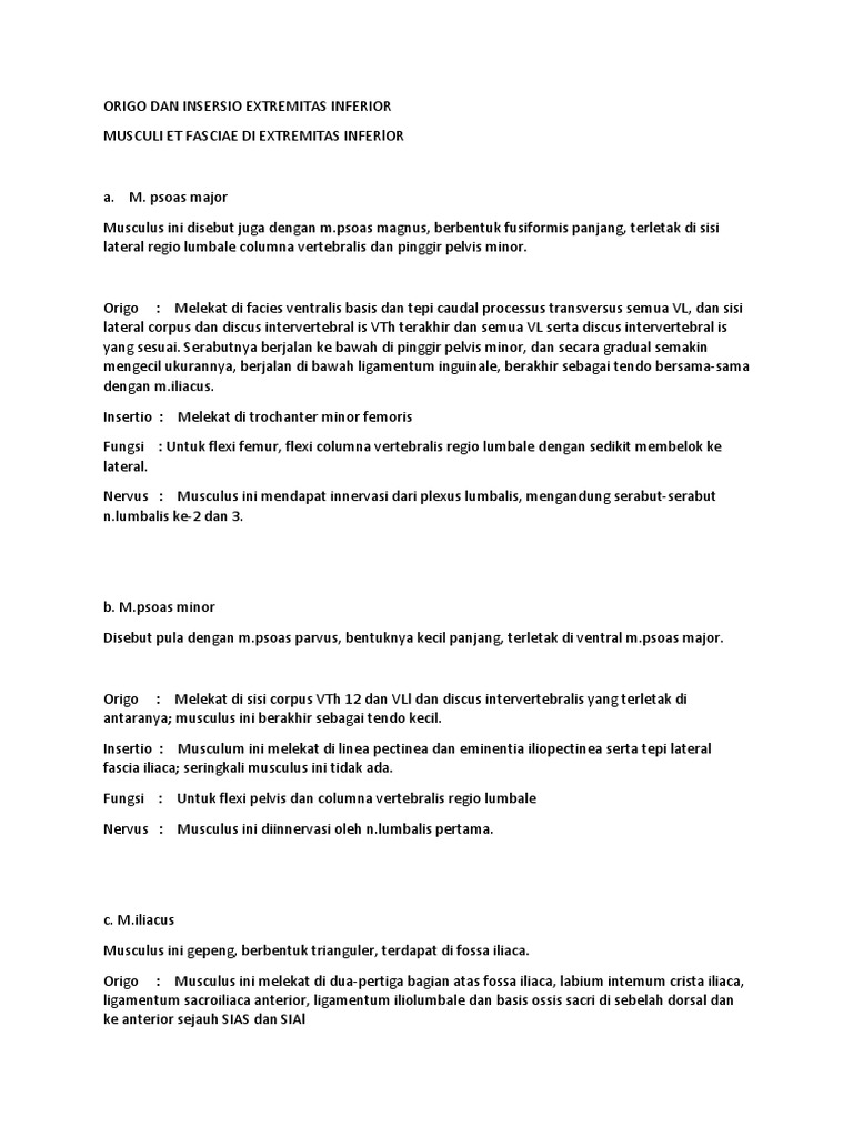 Origo dan Insersio Otot Ekstremitas Bawah | PDF