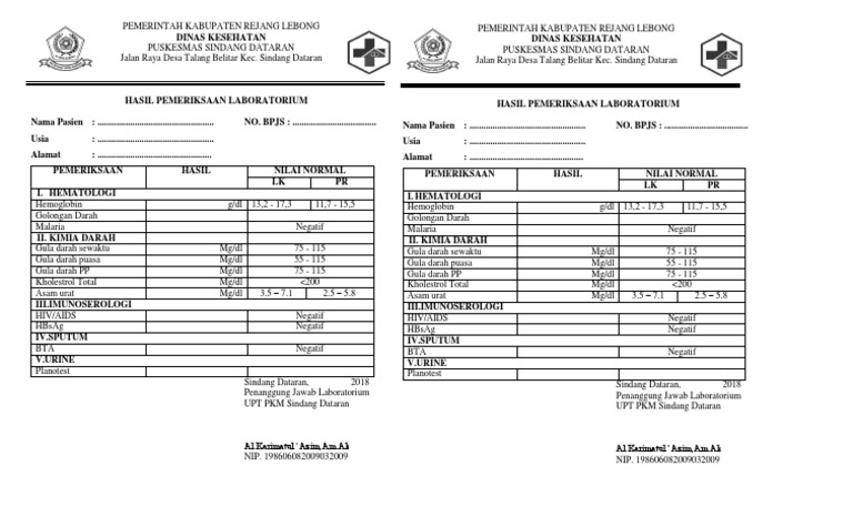 Blanko Hasil Lab | PDF