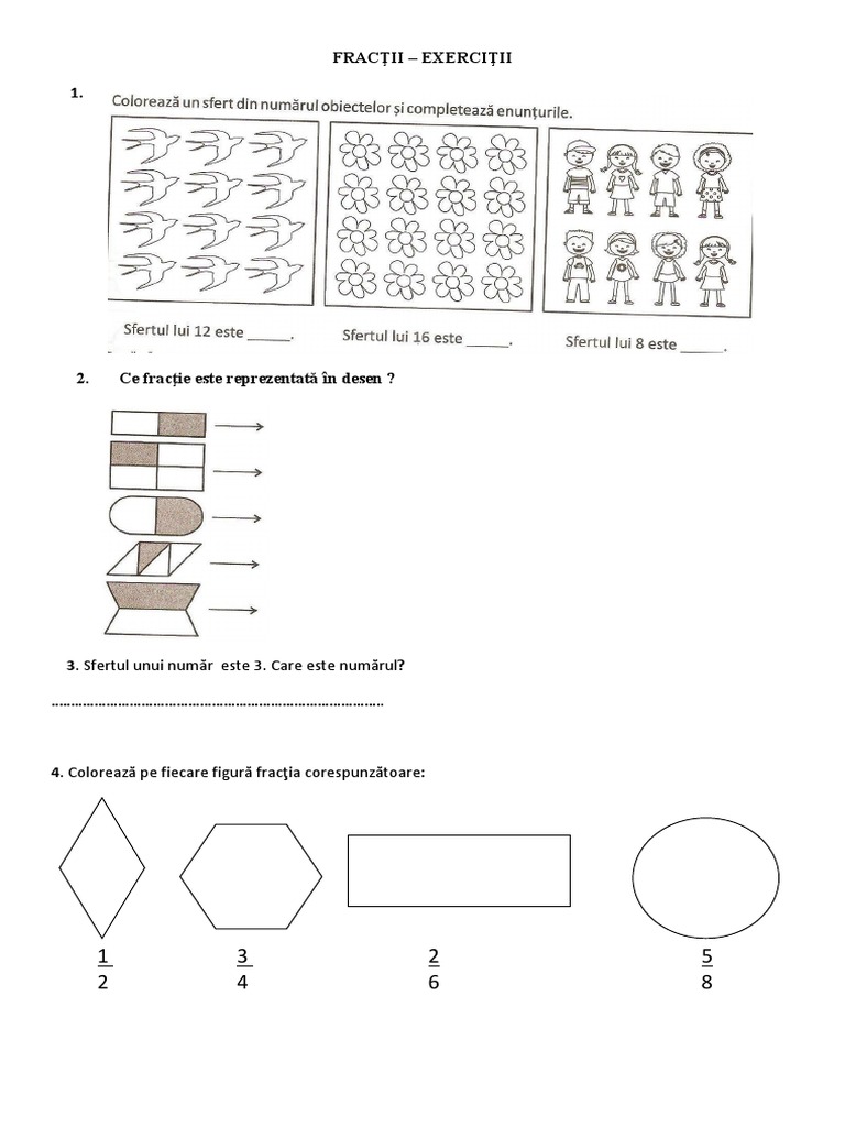 Fractii Exercitii | PDF