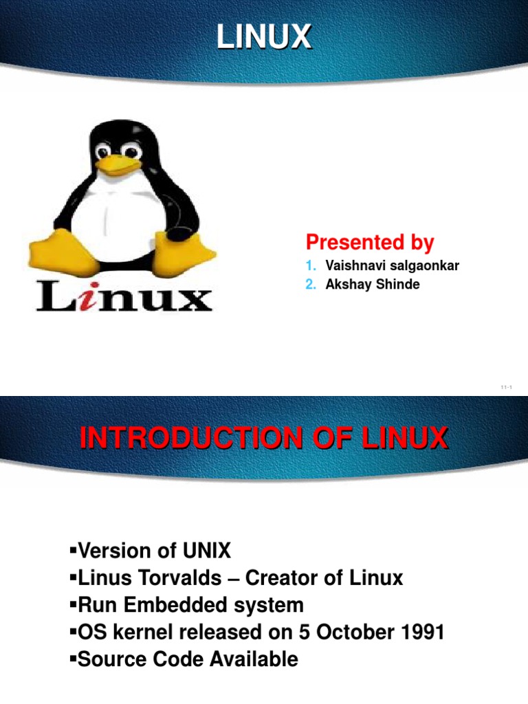 Linux | PDF | Linux | Linux Distribution