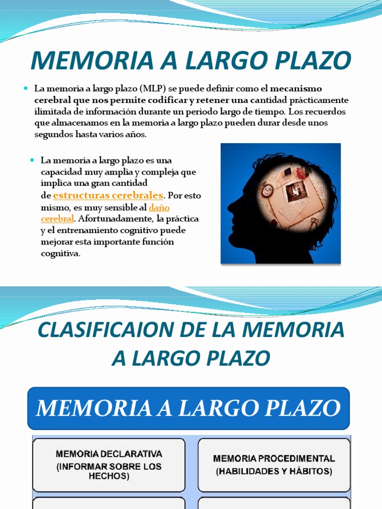 Memoria A Largo Plazo | PDF | Memoria | Evaluación neuropsicológica