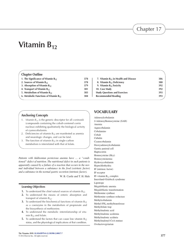 Vitamin B: Chapter Outline | PDF | Vitamin B12 | Biochemistry