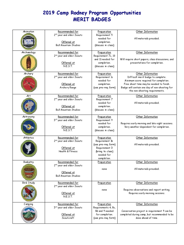 2019 RSR Description of Programs | PDF | Boy Scouts Of America | Scouting