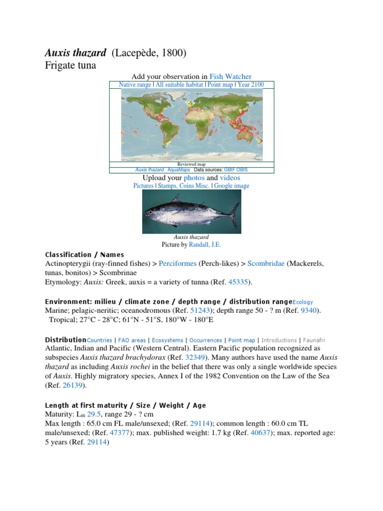 Frigate Tuna: Auxis Thazard (Lacepède, 1800) | PDF | Spawn (Biology ...