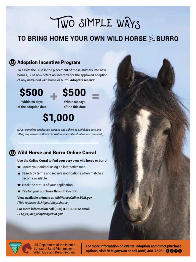 BLM WHB TwoWays FactSheet Final V2 508compliant | PDF