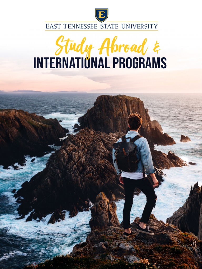 Study Abroad Book Final | PDF | International Student | Social Media