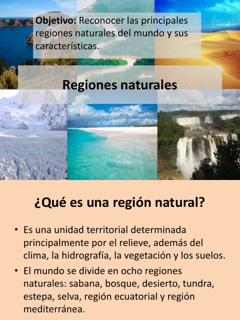 Los 8 Regiones Naturales Del Mundo Regiones Naturales De México: Qué