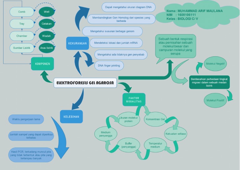 Mind Map Genetika | PDF