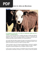 Reproducción Ovina y Caprina | PDF | Sistema reproductivo | Testículo
