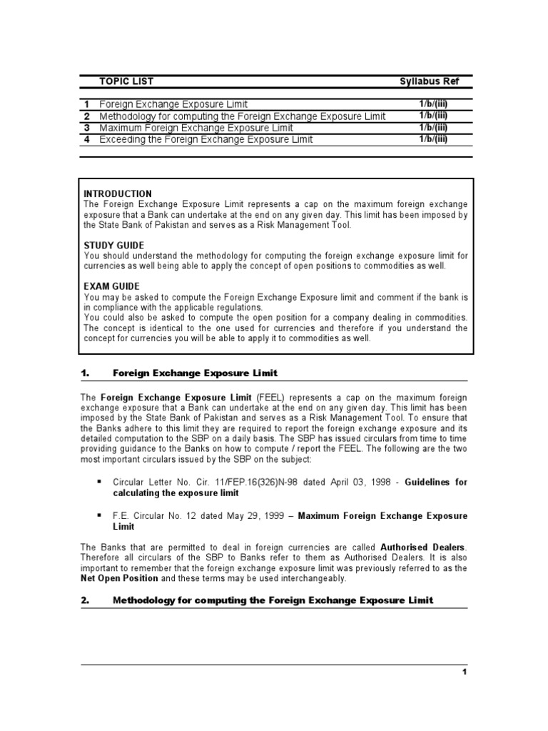 Net Open Position | PDF | Foreign Exchange Market | Balance Sheet