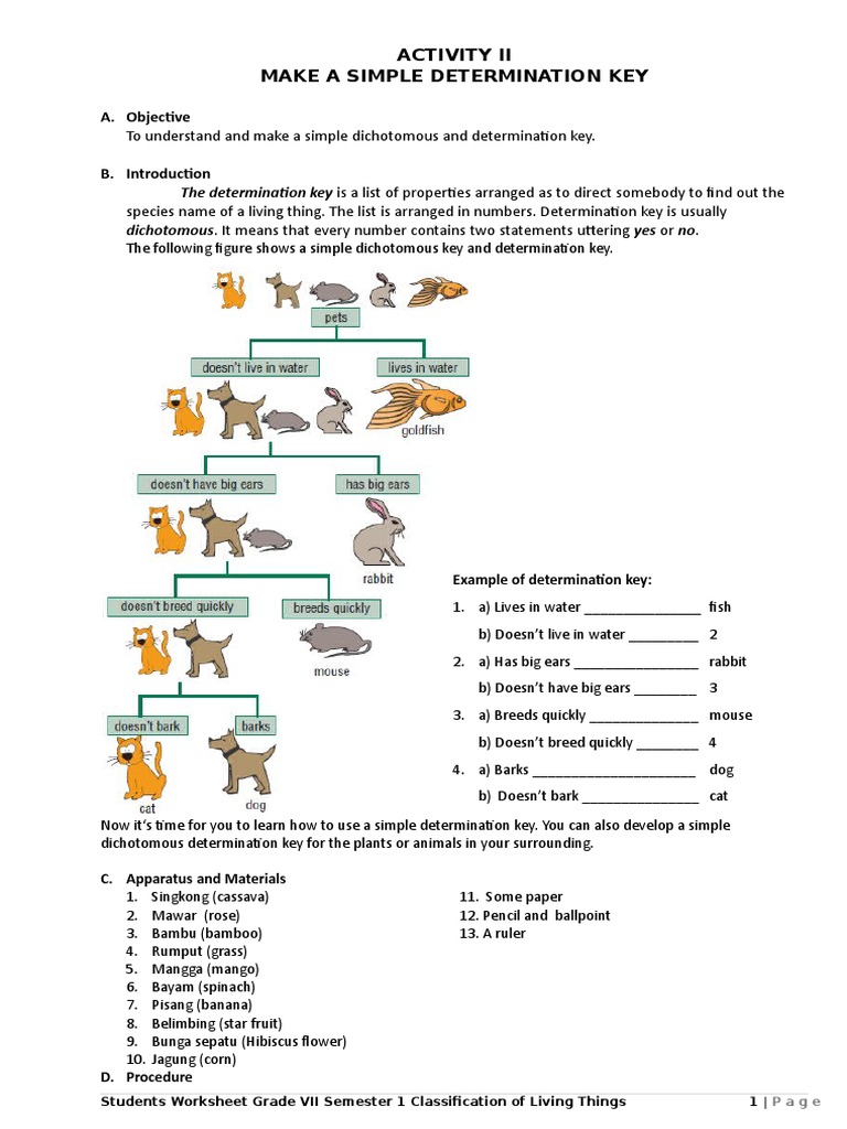 STUDENT WORKSHEET 'Classify Living Things' | PDF | Botany ...