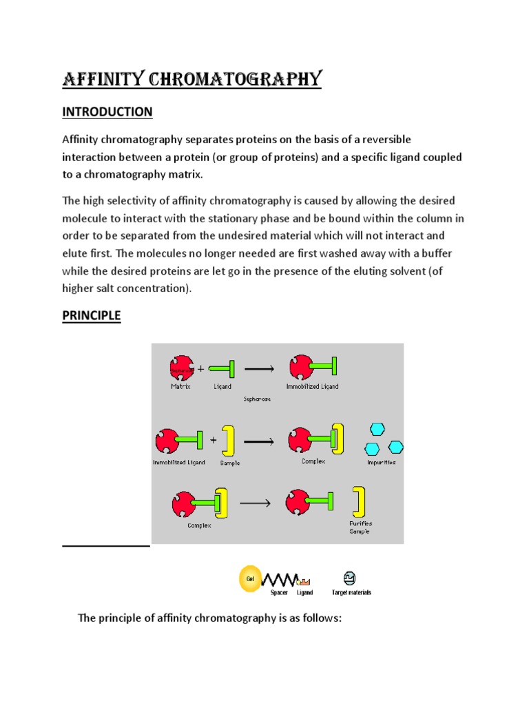 Affinity Chromatography | PDF | Ligand (Biochemistry) | Chromatography