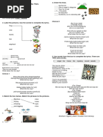 Terry Fox Song | PDF