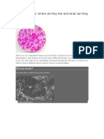 Avitene Microfibrillar Collagen Hemostat Product Brochure PDF | PDF ...